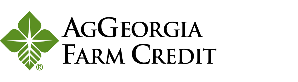 Nashville’s Iconic Skyline: A Journey Through Time | Built | Powering ...